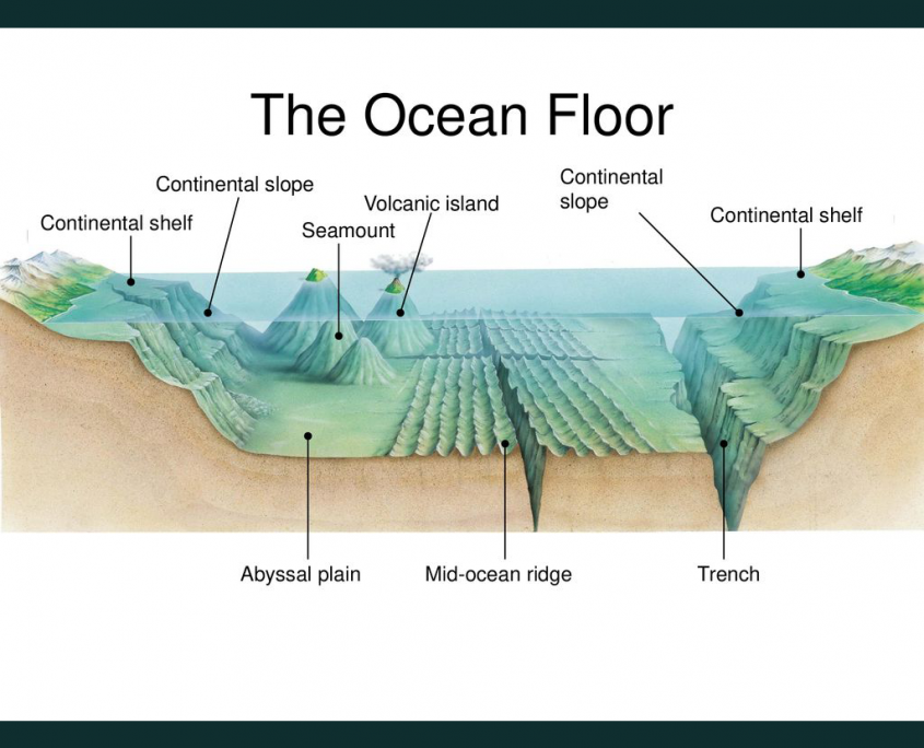 Sea Facts – Clyde Fishermens Trust